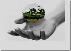 ECOLOGGER: Ecología y Medio Ambiente (Siglo XXI)